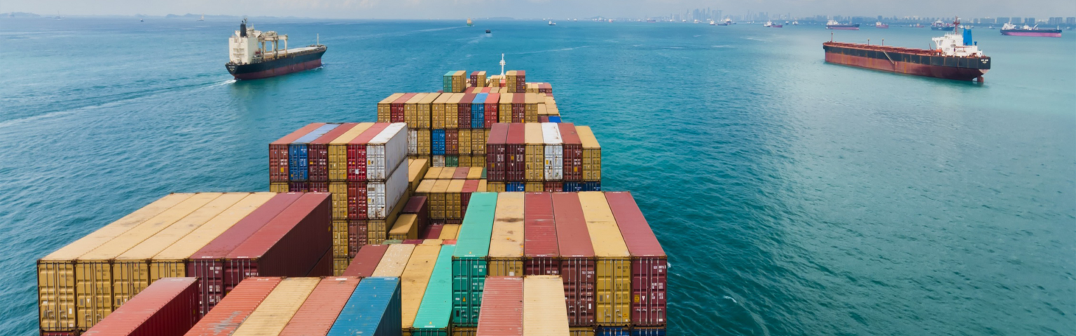 Excess Baggage Delivery worldwide | Parcel charges